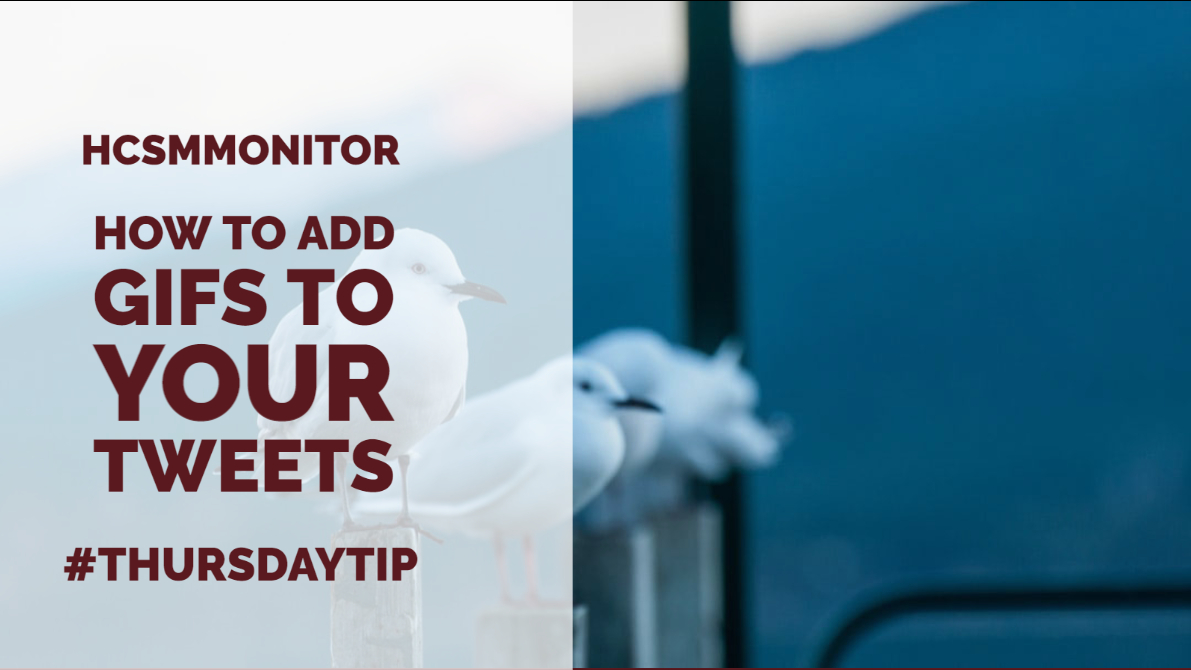 #ThursdayTip: How to Add GIFS to Your Tweets – Health Care Social Media